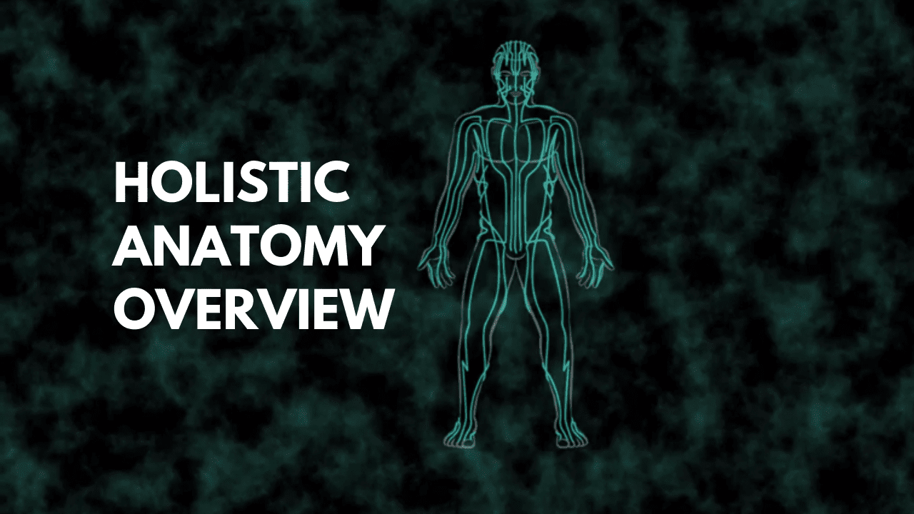 Holisitic Anatomy Overview - Quantum University